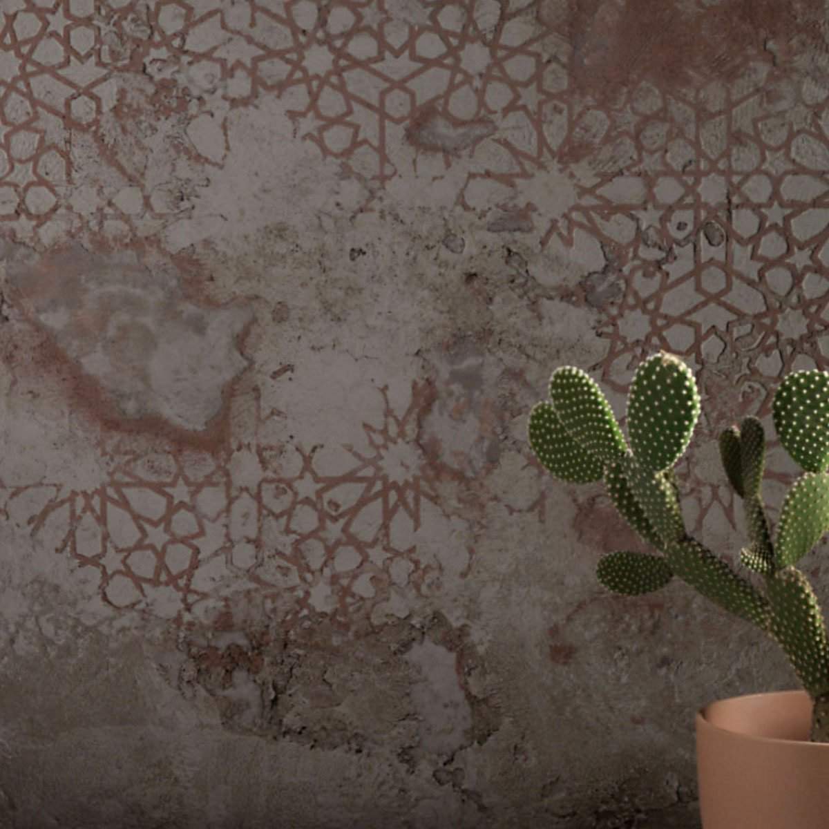 Finest Italian Decorative Plastering Products | Stucco Italiano